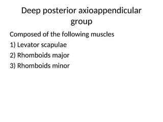 09 - SCAPULAR REGION anatomy. Detailed anatomy | PPT