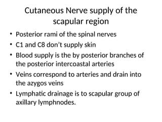 09 - SCAPULAR REGION anatomy. Detailed anatomy | PPT