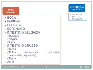 09.sistema digestivo colegio | PPSX