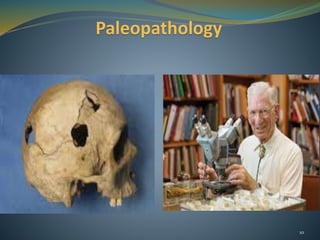 Paleopathology.pptx