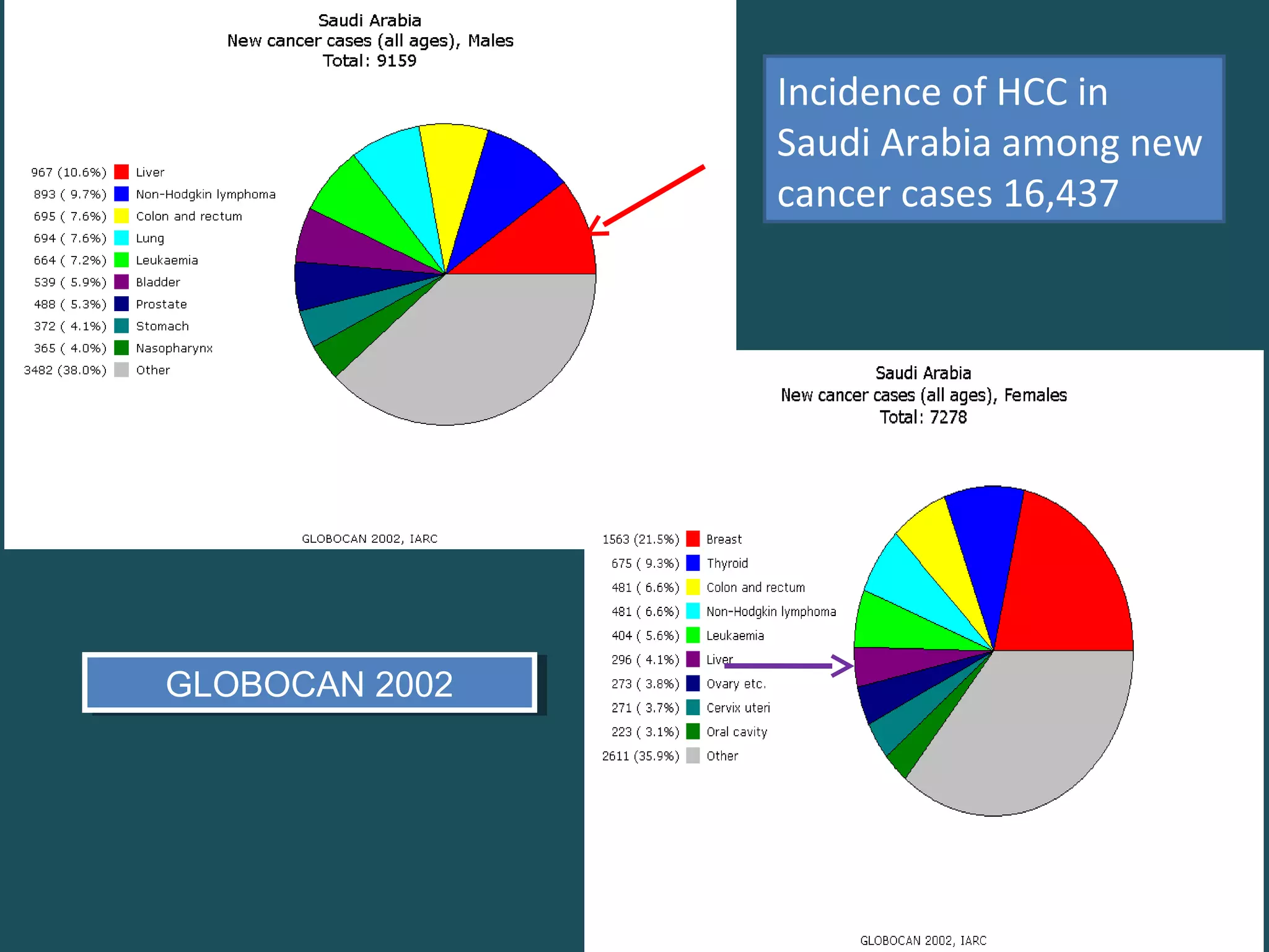 HCC in the Arab World Final | PPT