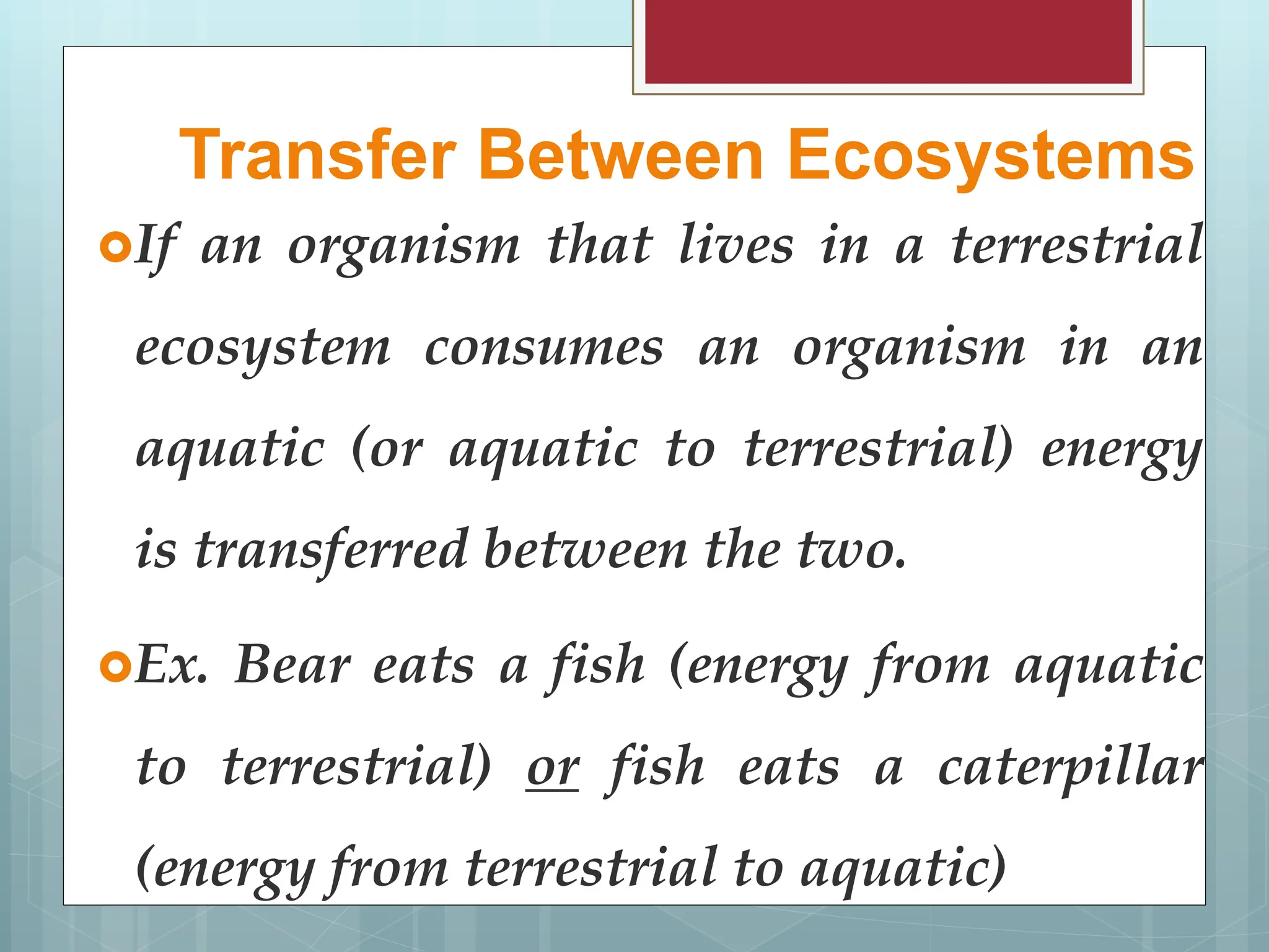 Ecosystem functioning: food webs and trophicl evels.ppt