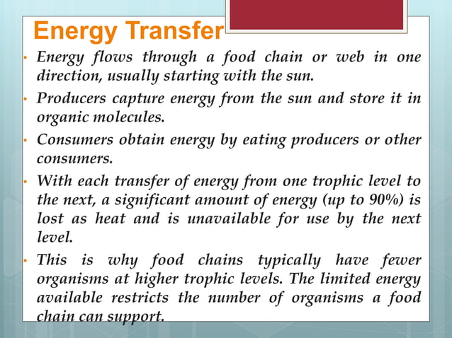 Ecosystem functioning: food webs and trophicl evels.ppt