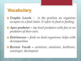 Ecosystem functioning: food webs and trophicl evels.ppt