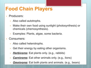 Ecosystem functioning: food webs and trophicl evels.ppt