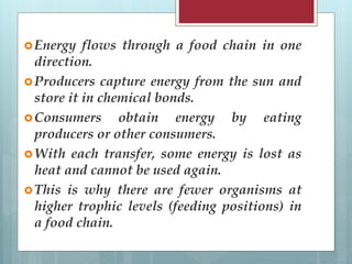 Ecosystem functioning: food webs and trophicl evels.ppt