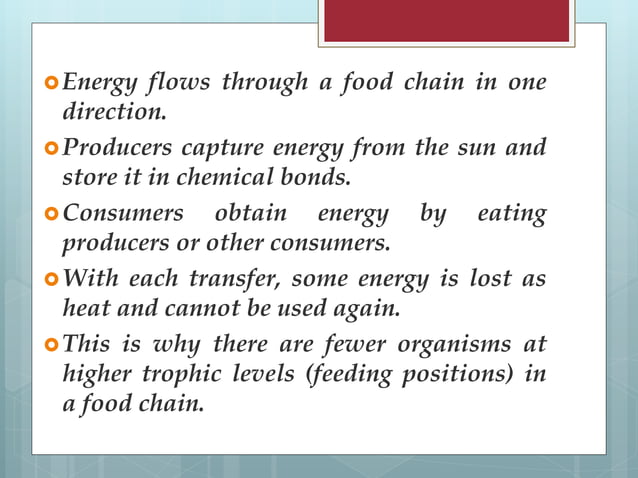 Ecosystem functioning: food webs and trophicl evels.ppt