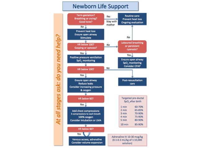 Update in Paediatric Advanced Life Support | PPT