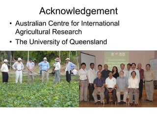 Economics of growing mungbean after rice in the rainfed lowlands of Cambodia. Sareth Chea | PPTX