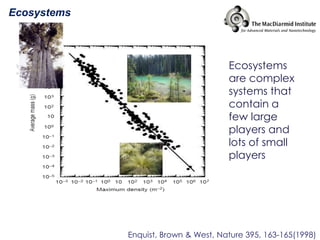 Shaun Hendy Innovation Ecosystem | PPTX