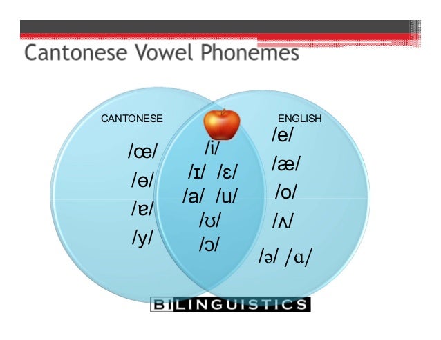 Bilingual Speech Therapy