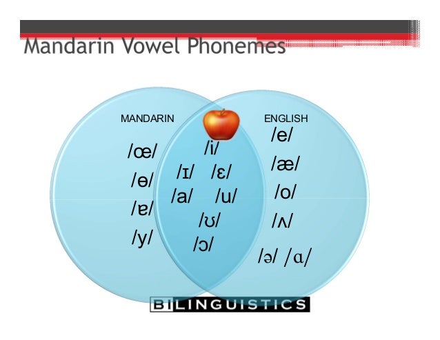 Bilingual Speech Therapy