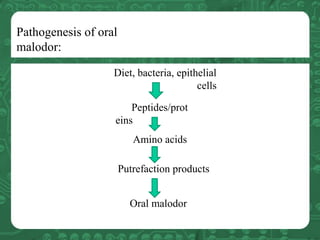 halitosis.ppt