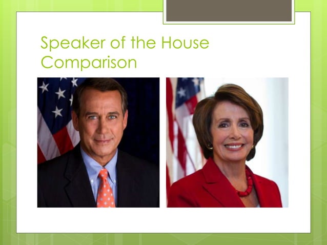 Political Perspective | PPT