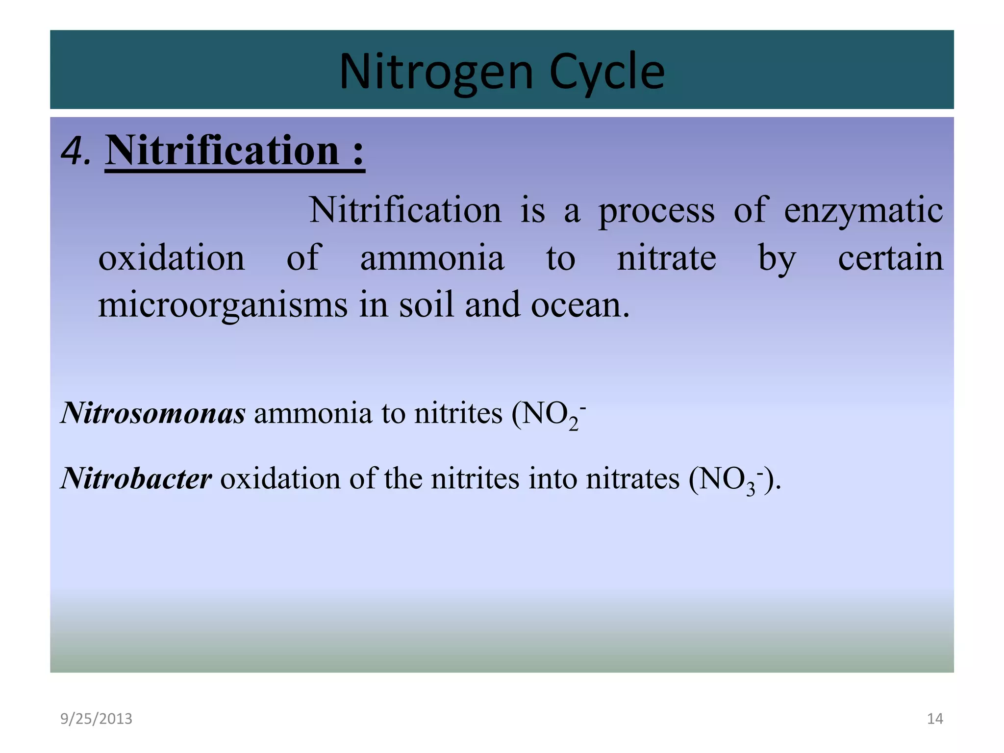 Nitrogen Cycle | PPTX