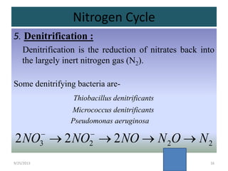 Nitrogen Cycle | PPTX