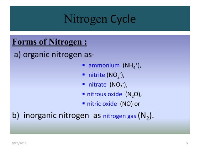 Nitrogen Cycle | PPTX