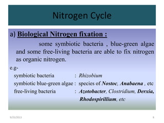 Nitrogen Cycle | PPTX