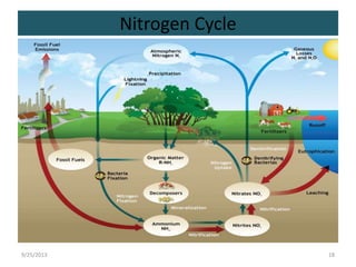 Nitrogen Cycle Diagram For Class 8