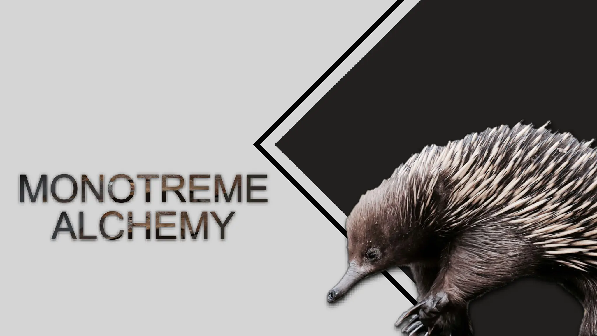 Monotreme alchemy : mystical milk and lethal elixir | PPT