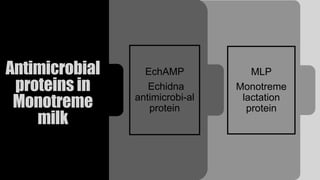 Monotreme alchemy : mystical milk and lethal elixir | PPT