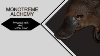 Monotreme alchemy : mystical milk and lethal elixir | PPT
