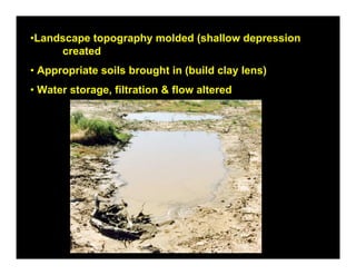 Global Impacts of Climate Change and Potentials for Adaptation and ...