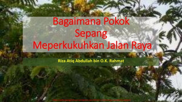 Pokok sepang meperkukuhkan jalan raya | PPTX