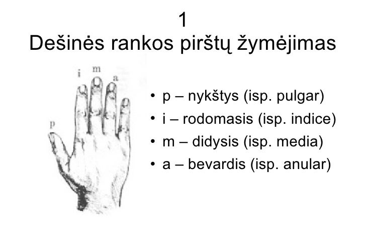 Dešinės rankos technika. Grojimas pirštais