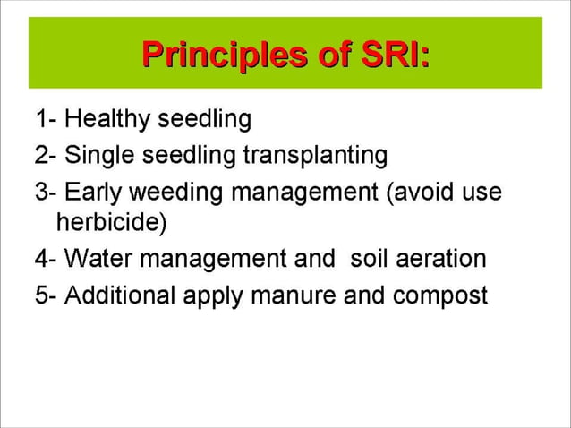 0927 System of Rice Intensification (SRI) in Vietnam | PPT