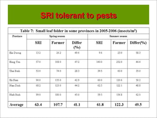 0927 System of Rice Intensification (SRI) in Vietnam | PPT