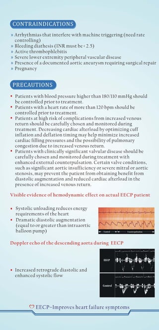 ECP brochure | PDF