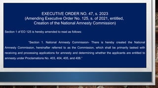 0939h 22 July 2024 IRR AMNESTY PPT.pptx