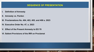 0939h 22 July 2024 IRR AMNESTY PPT.pptx