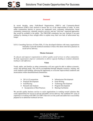 SOS Consulting Outline-1 | DOC