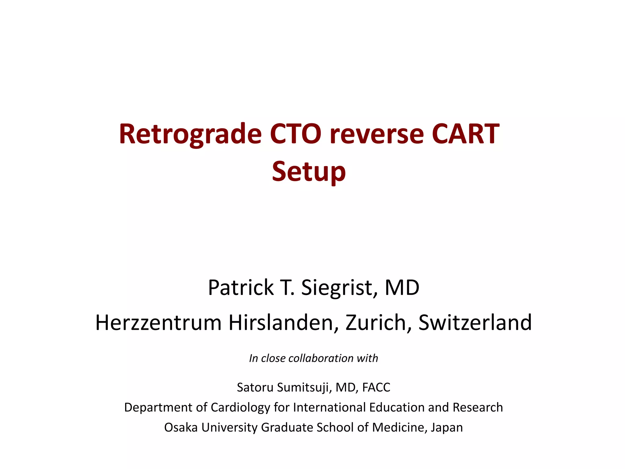 Patrick Siegrist: Procedural course | PPTX