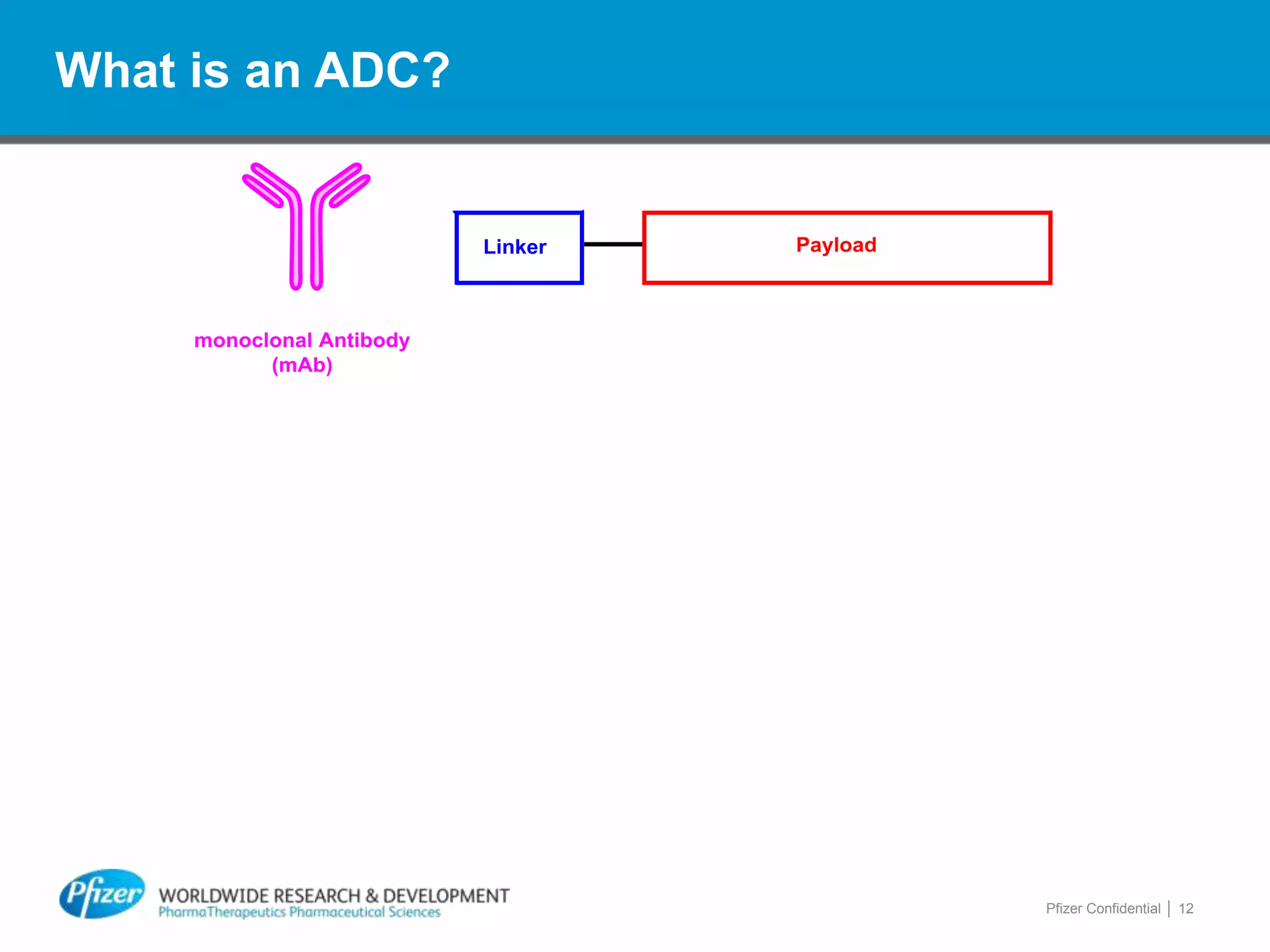 Pfizer's Strategy for the Development and Manufacture of Linker ...