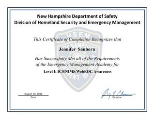 Level I Completion Certificate | PDF