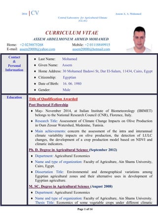 Assem Mohamed CV E | PDF