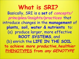 0956 Increasing Both Quantity and Quality of Rice Production with ...