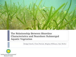 SubmergedAquaticVegetation | PPT