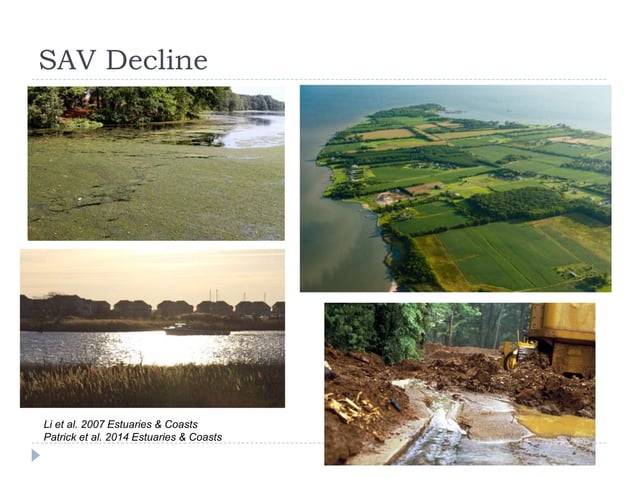 SubmergedAquaticVegetation | PPT