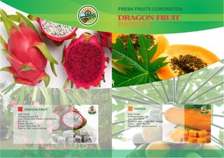 Fresh Fruits Corporation - Catalogue | PDF