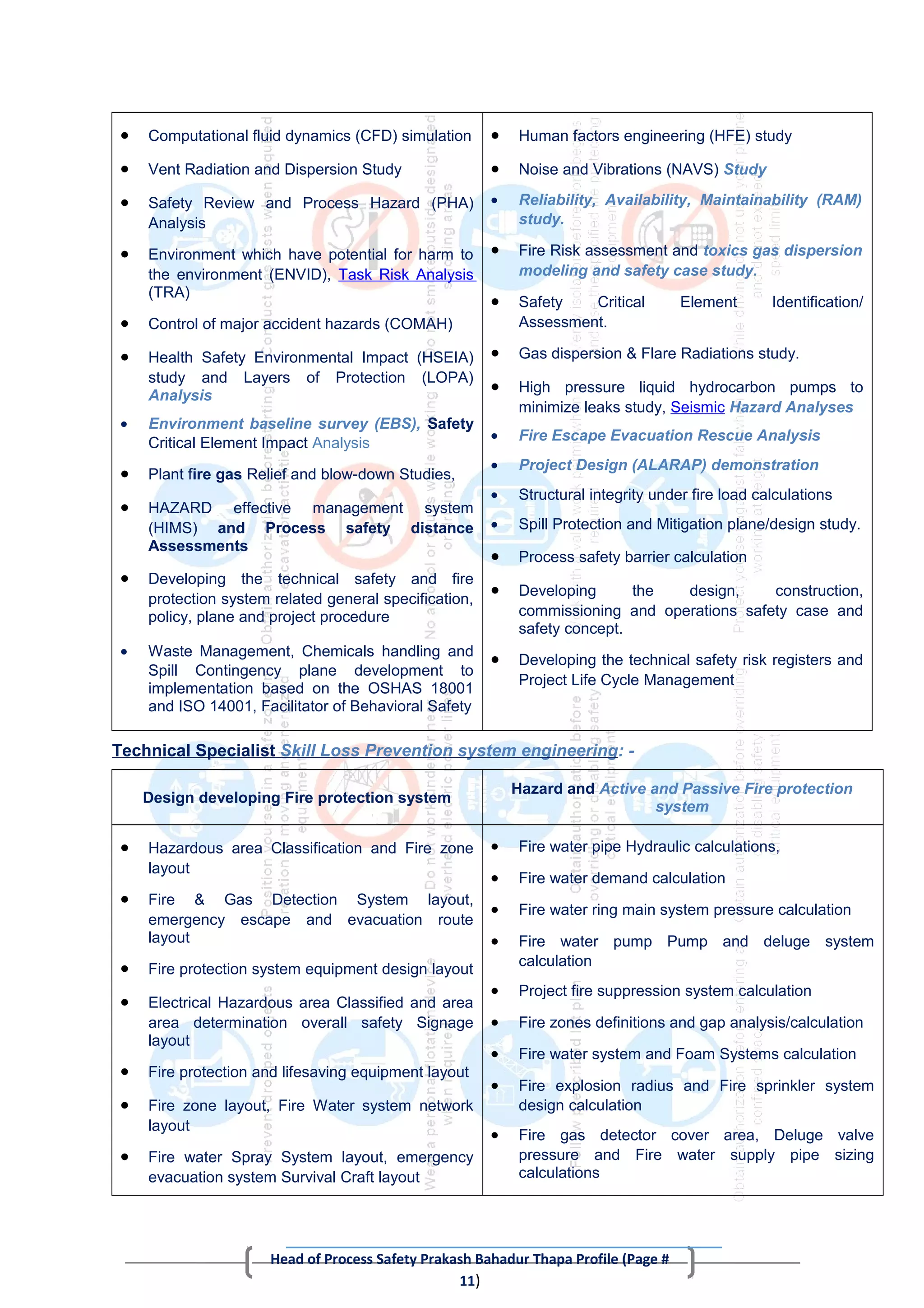 Head of Process Safety engineering profile Prakash Thapa | DOC