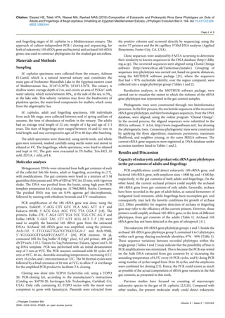 composition-of-eukaryotic-and-prokaryotic-rrna-gene-phylotypes-in-guts ...