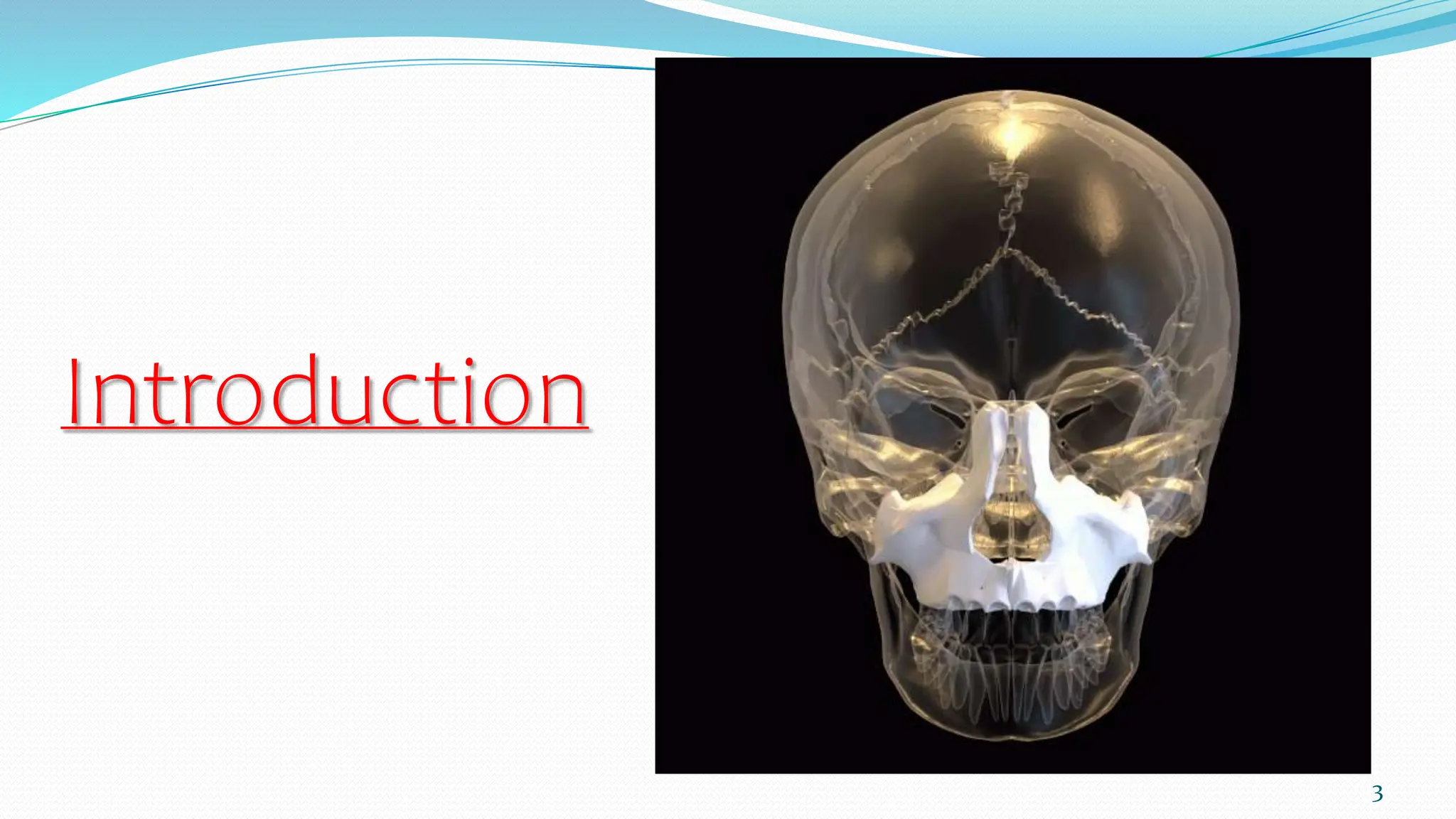 GROWTH AND DEVELOPMENT OF MAXILA 16.pptx