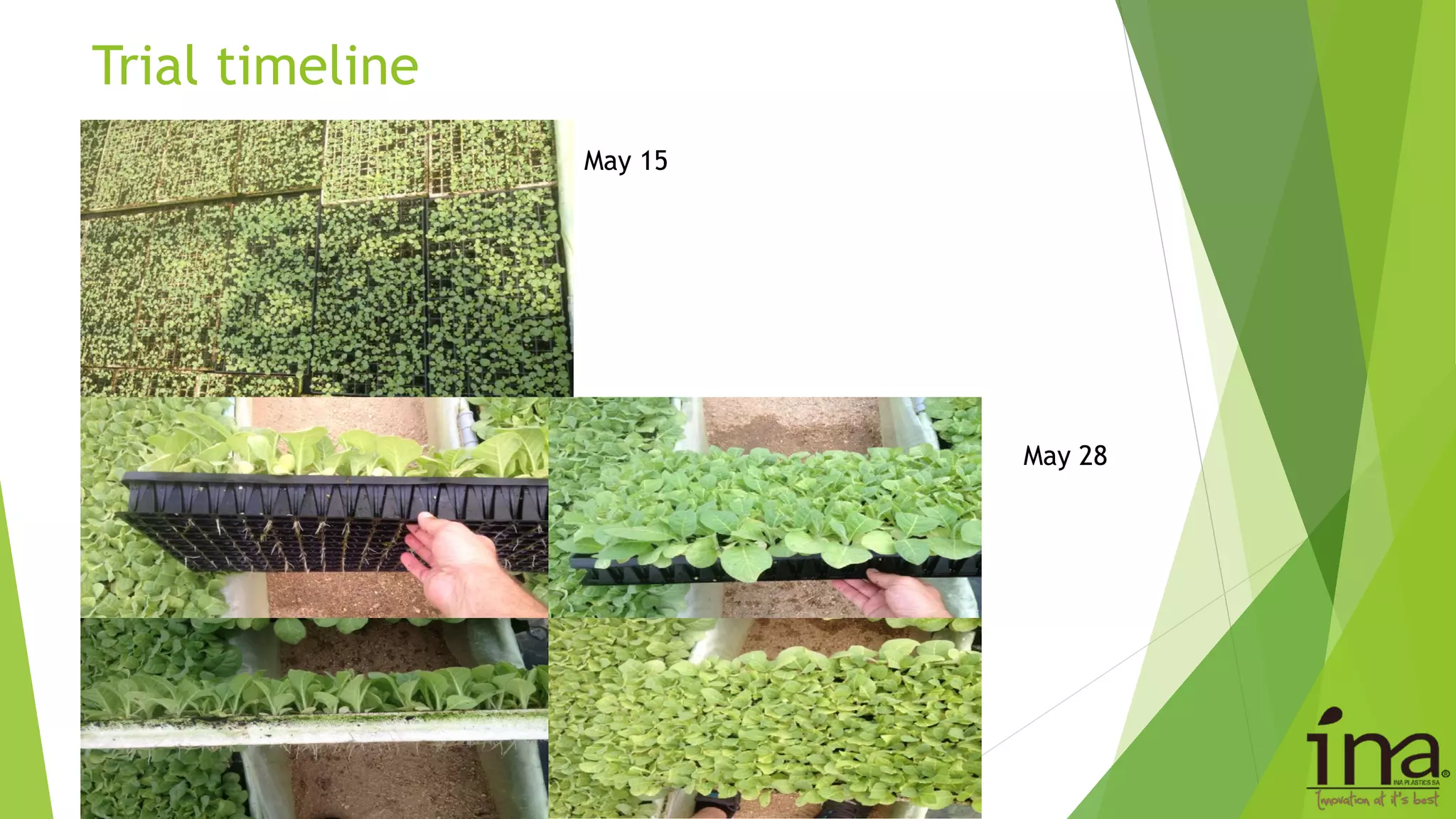 The Double Tray System (2016PROMO)_printing | PDF