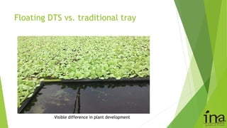 The Double Tray System (2016PROMO)_printing | PDF