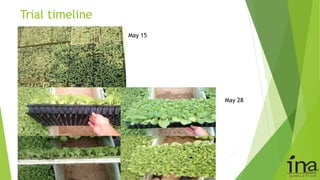 The Double Tray System (2016PROMO)_printing | PDF