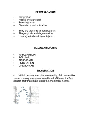 09 Acute inflamation | DOC | Blood Disorders | Diseases and Conditions